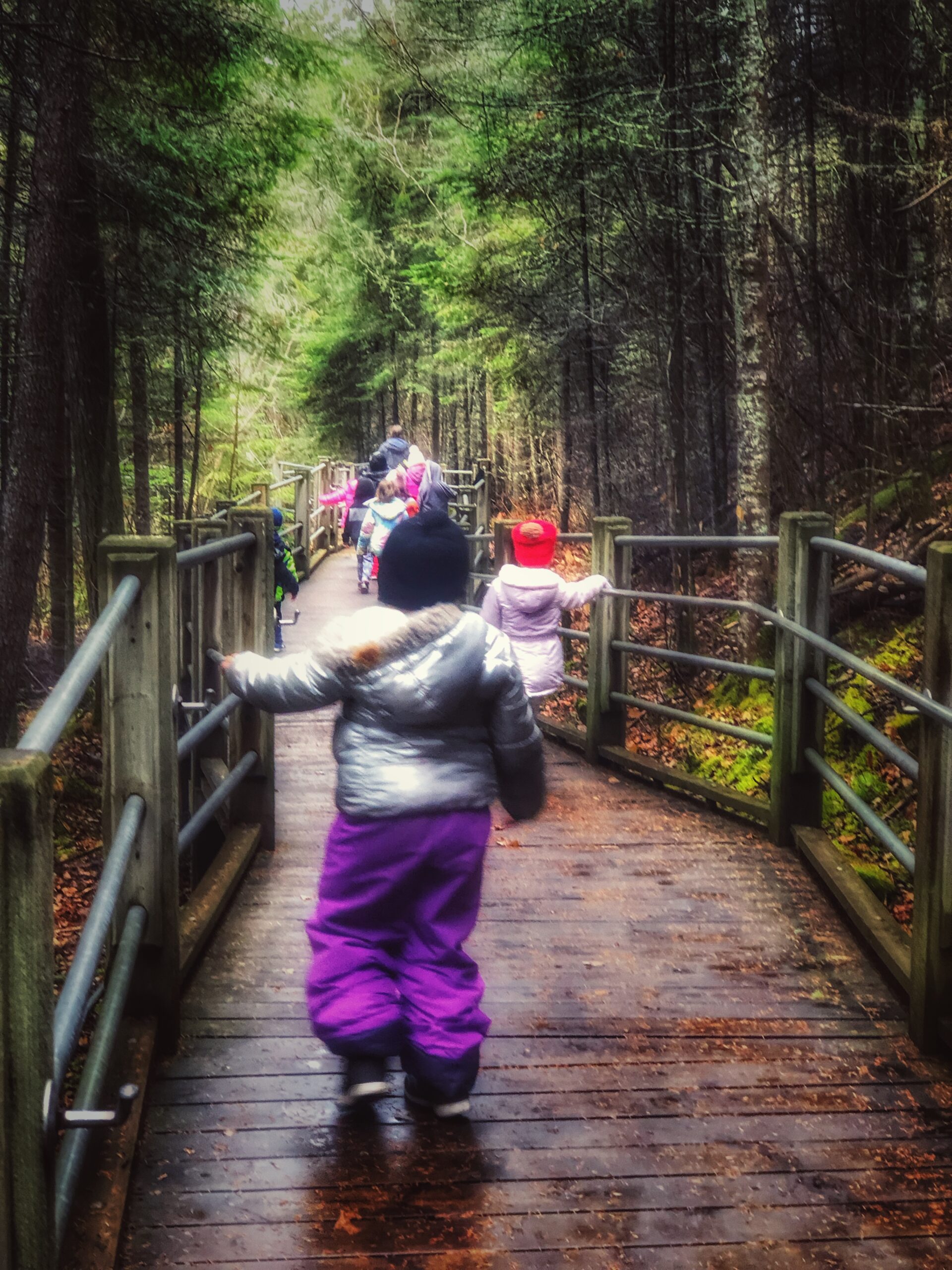 Oshki Ogimaag: K-6 school rooted in Anishinaabe culture and language.
